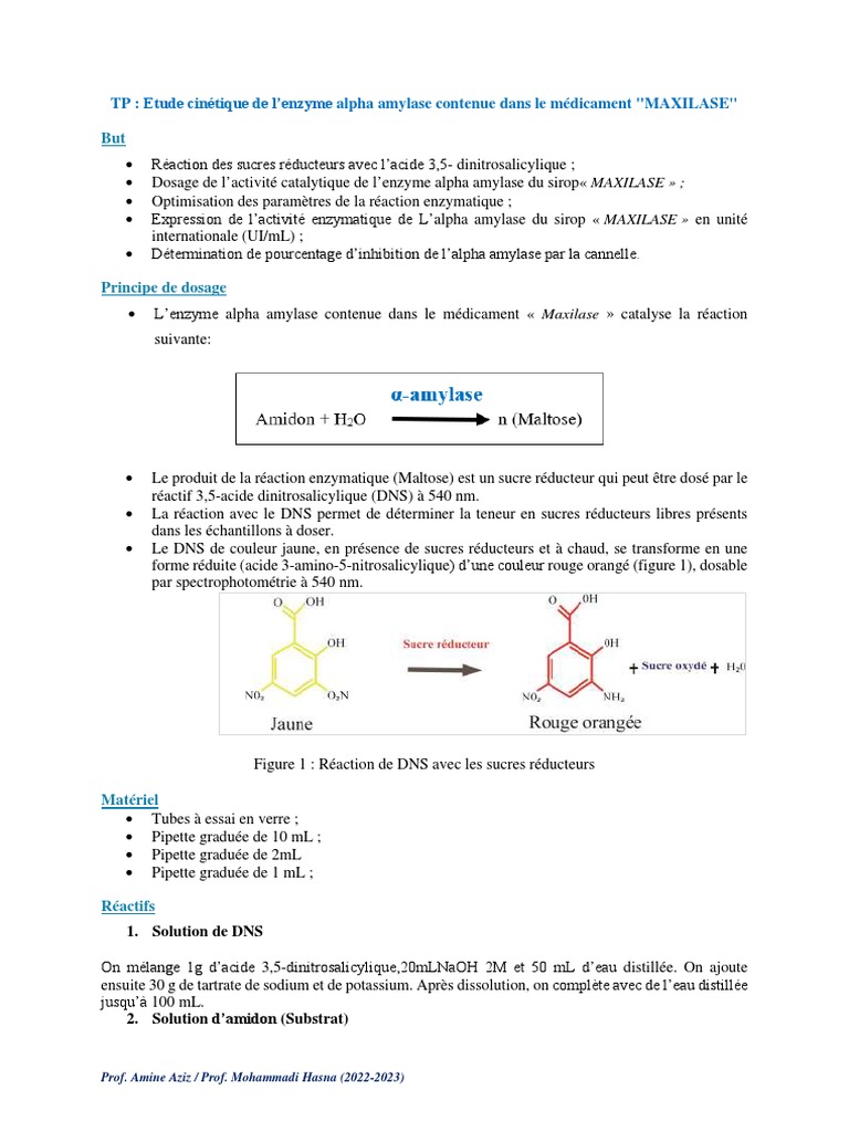 Cinétique de l'alpha amylase dans Maxilase | PDF | Enzyme | Catalyse