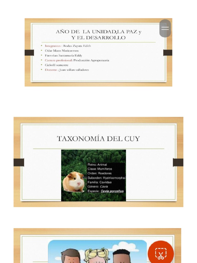 Taxonomía Del Cuy PDF | PDF