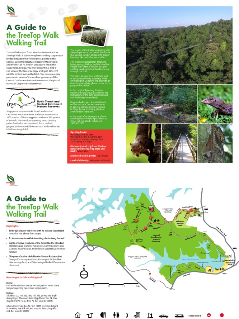 TreeTop Walk Eguide LRes | PDF | Botany | Organisms