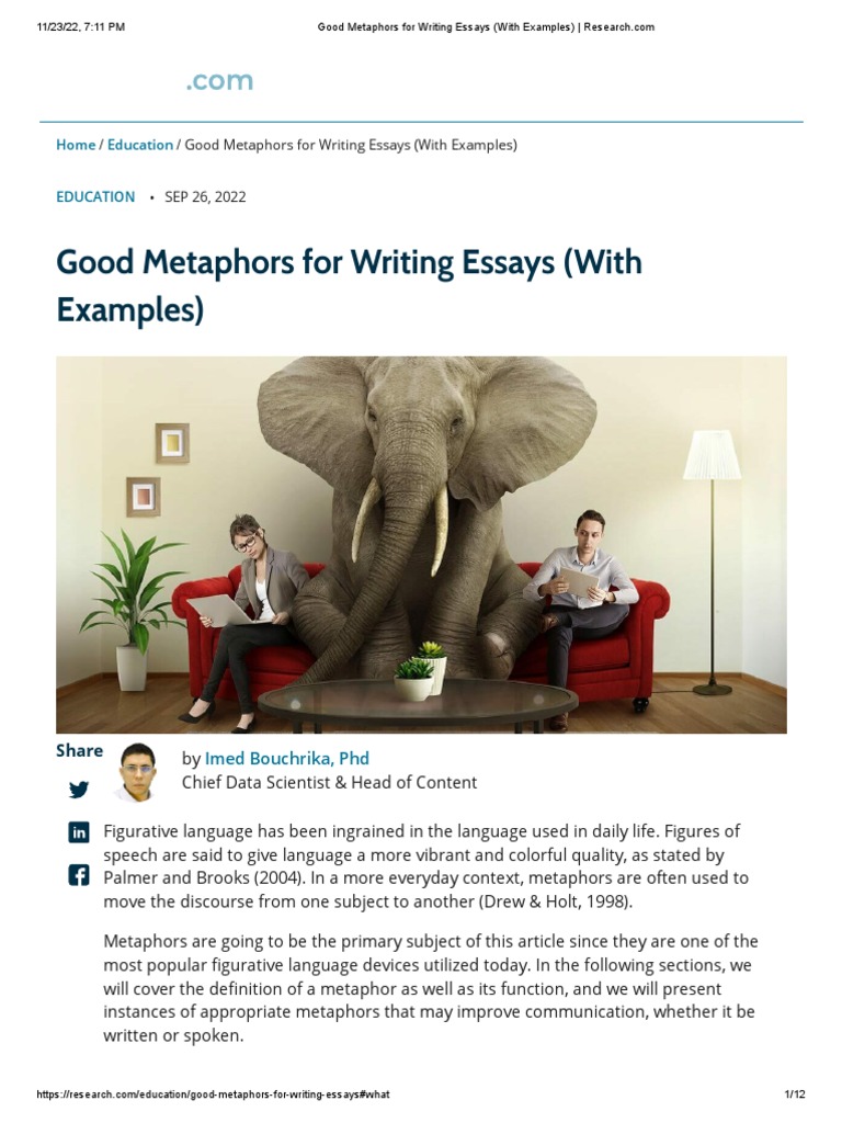 Good Metaphors For Writing Essays (With Examples) | PDF | Metaphor ...