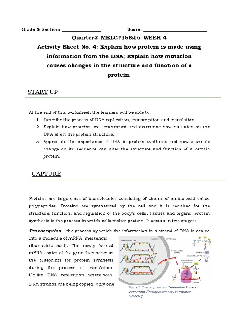 Science 10 | PDF | Nucleic Acid Sequence | Dna