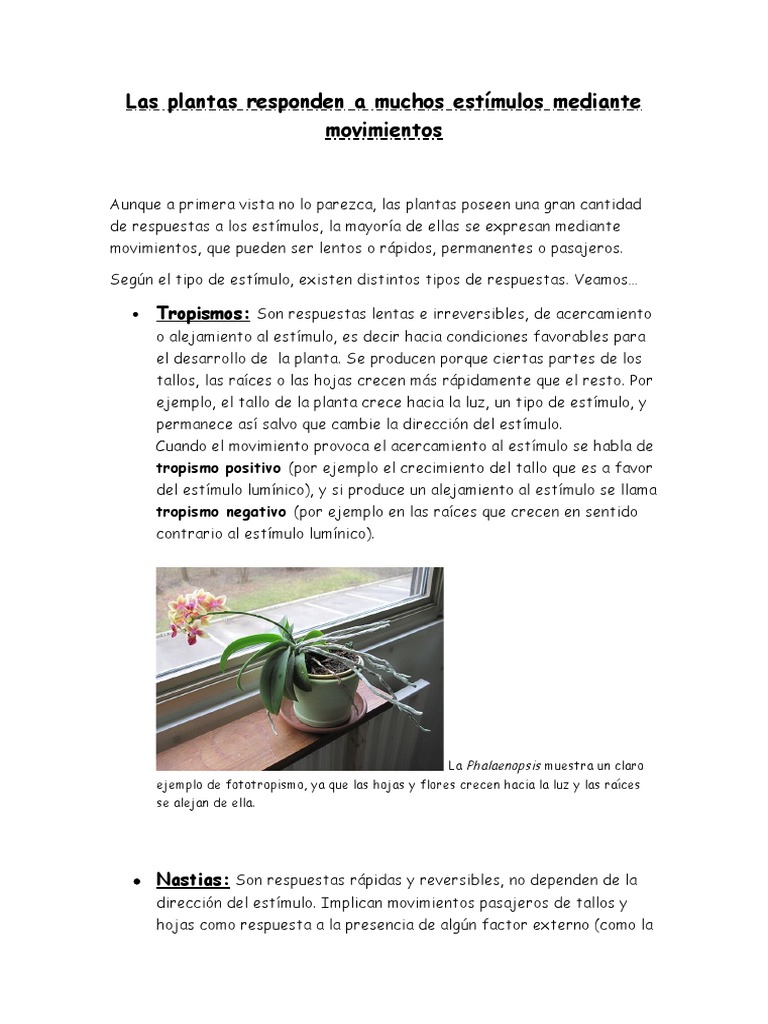 Tropismo, Nastia y Ritmo Circadiano | PDF | Botánica | Plantas