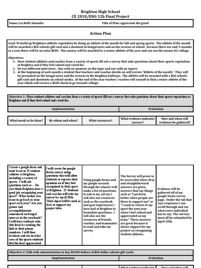 Action Plan Lia 1 2 | PDF