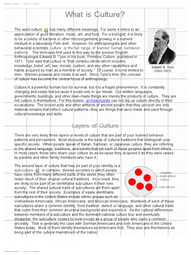 Understanding Human Culture | PDF