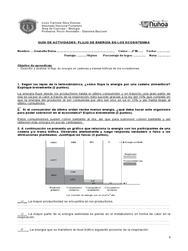 Guía de Actividades #2 - Flujo de Energía en Los Ecosistemas | PDF ...