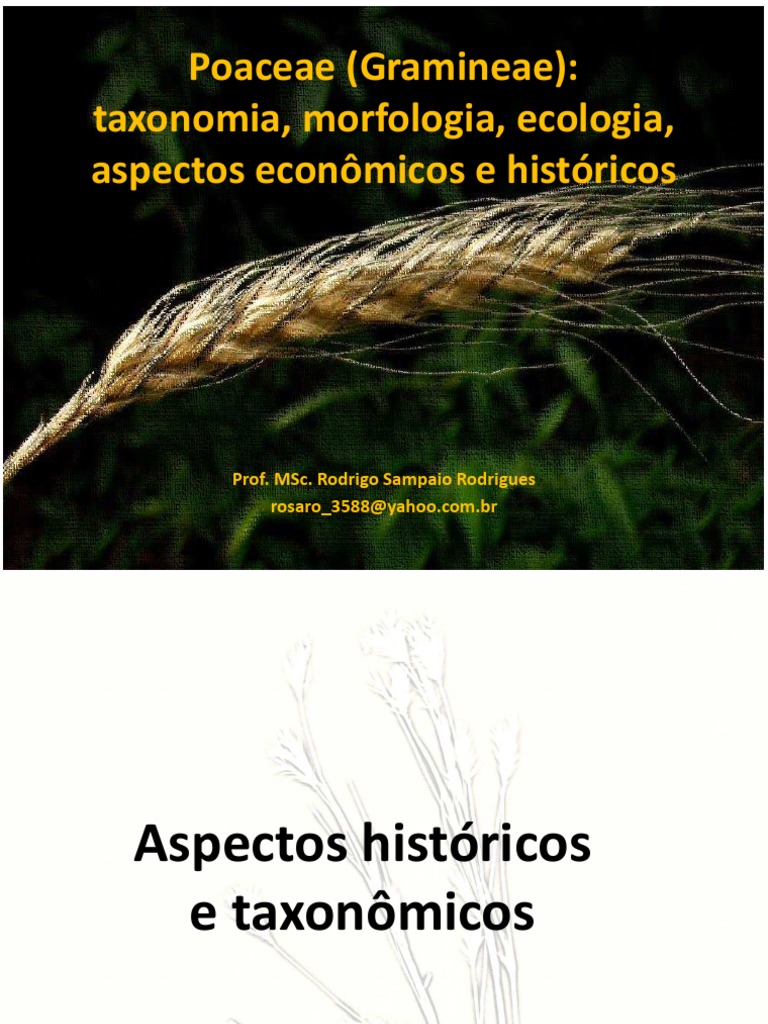Poaceae Gramineae Taxonomia Morfologia e | PDF | Fruta | Domesticação