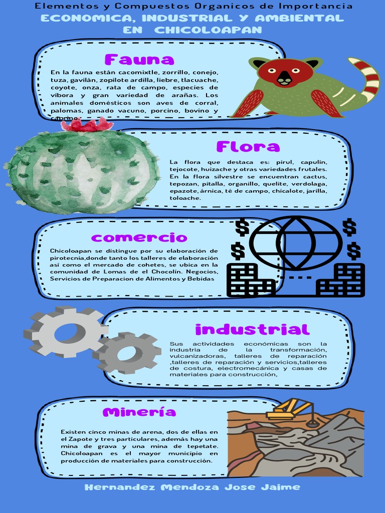 Elementos y Compuestos Organicos | PDF