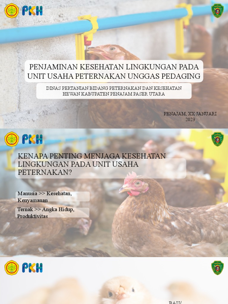 Higiene Sanitasi Kandang Ayam Pedaging | PDF | Teknologi & Rekayasa