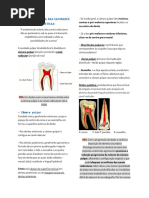 Anatomia Interna do Dente 46 | PDF | Dente humano | Áreas da odontologia