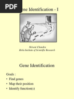 Clustal Omega EMBL-EBI | PDF