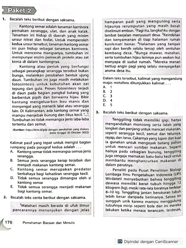 Pemahaman Membaca Dan Menulis Hal 176 - 183 PDF | PDF