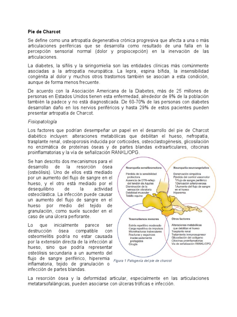 Pie de Charcot | PDF | Hueso | Pie