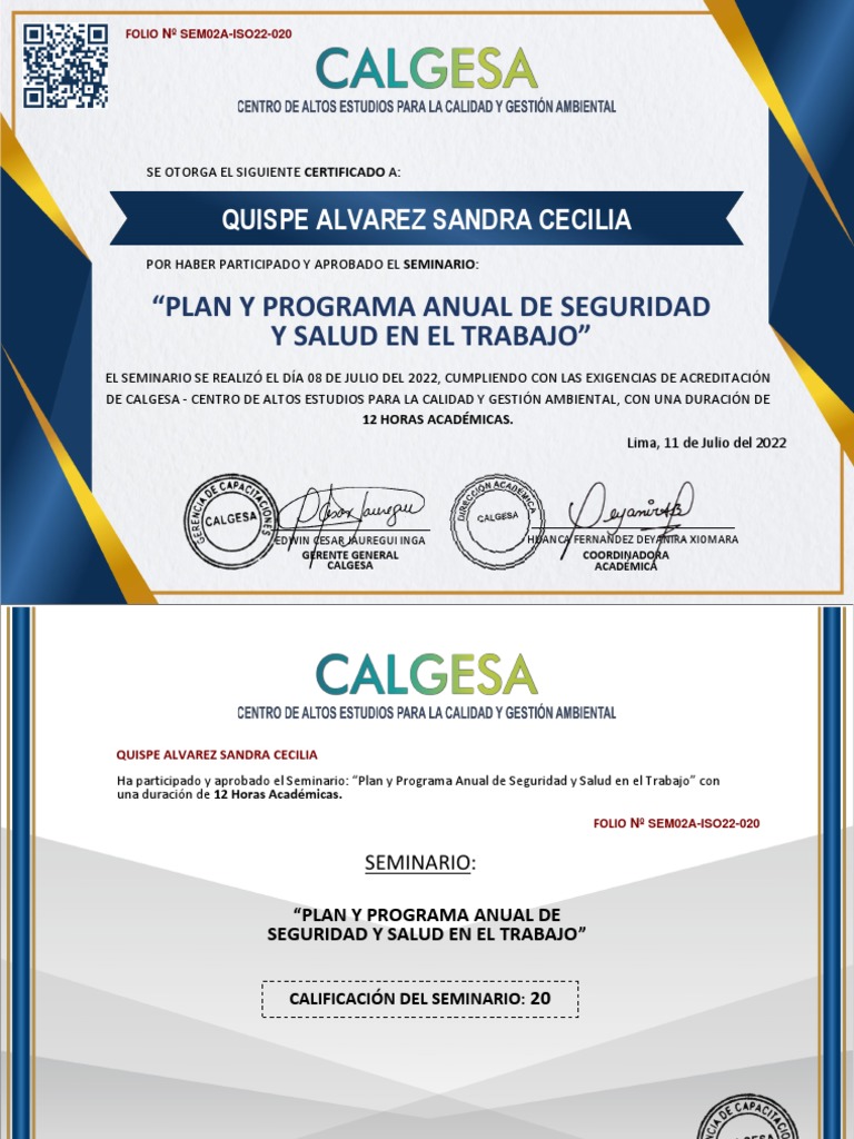 Plan y Programa Anual de Seguridad y Salud en El Trabajo | PDF