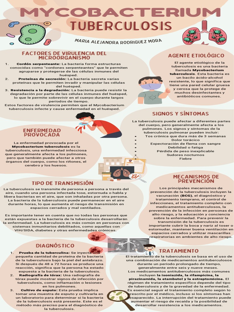 Infografia Tuberculosis PDF | PDF | Tuberculosis | Medicina CLINICA
