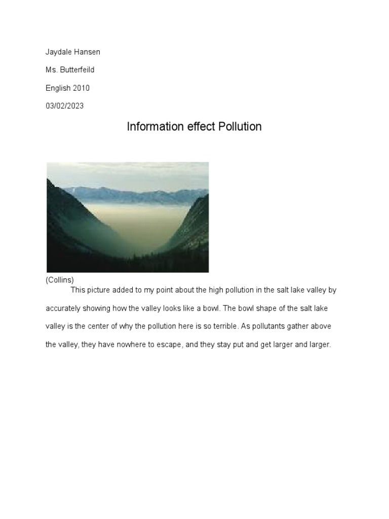 Information Effect Project | PDF