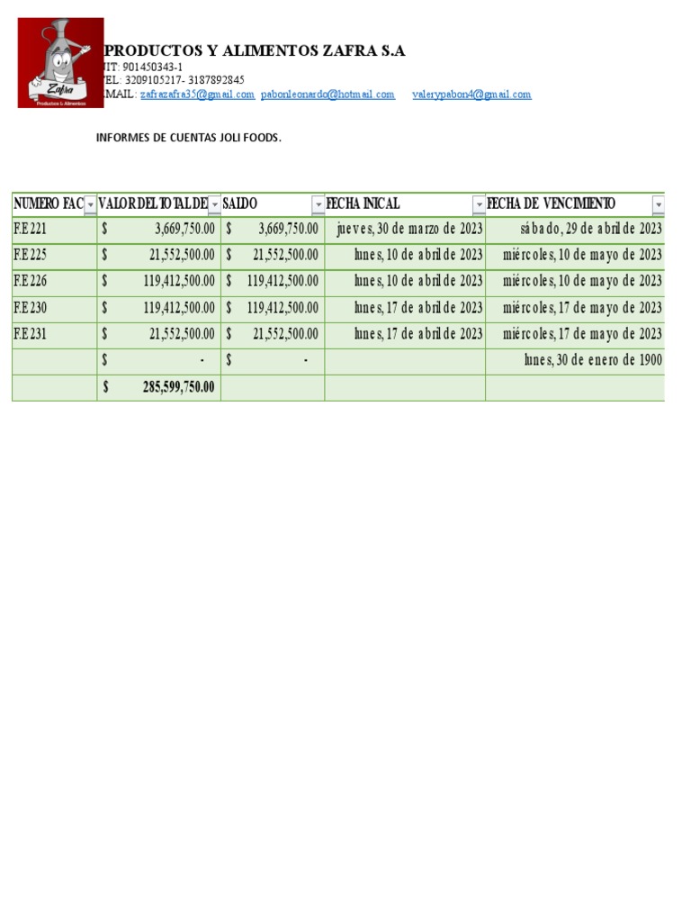 Joli Foods Informe 2023 | PDF