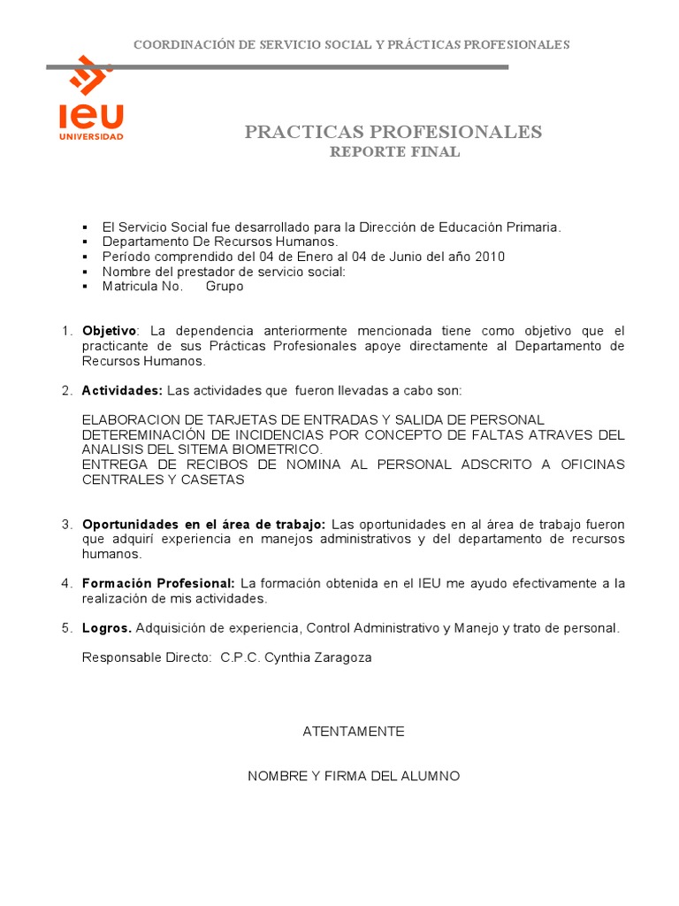 11 - Formato de Reporte Final | PDF
