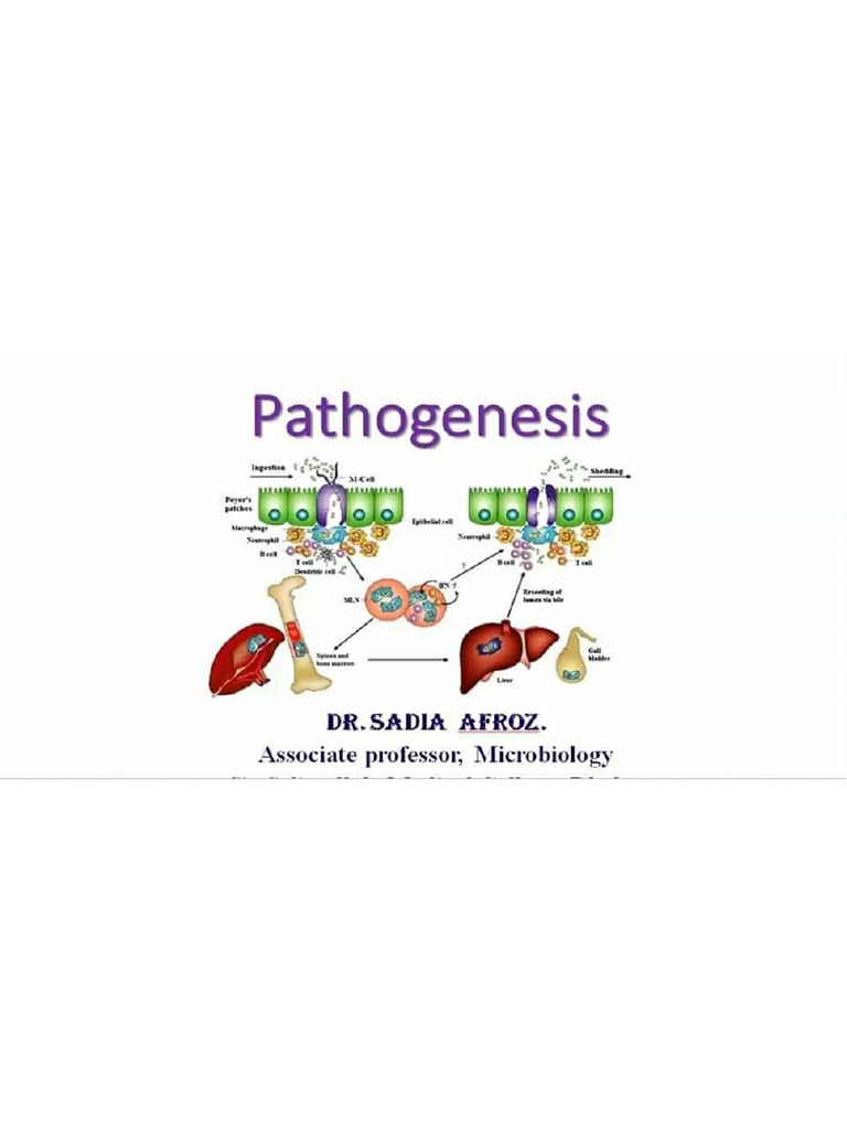Bacterial Pathogenesis | PDF