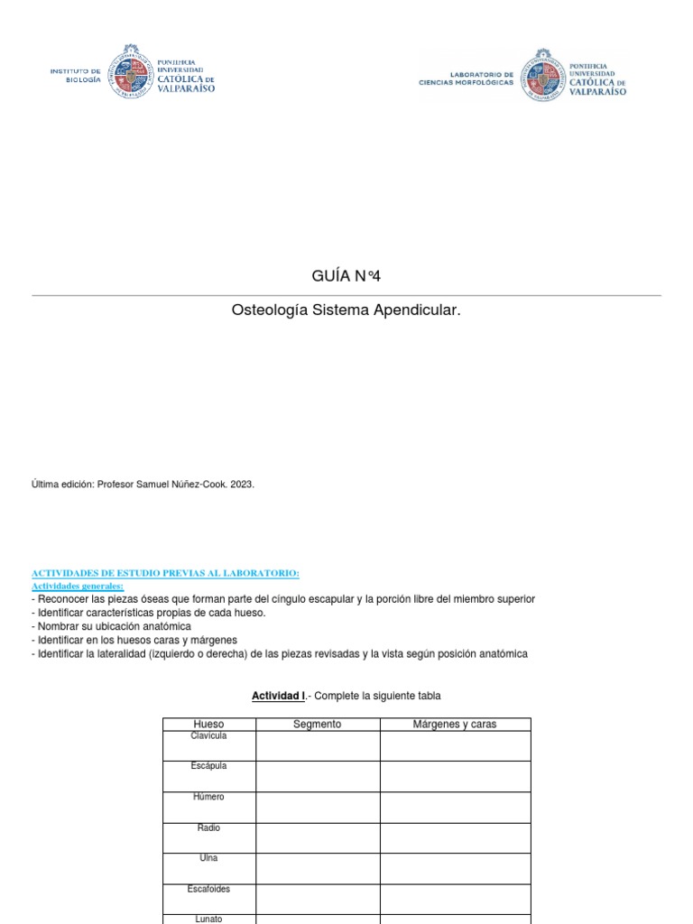 GUIA N°04 - Osteología Apendicular PDF | PDF | Sistema musculoesquelético | Anatomía del miembro ...