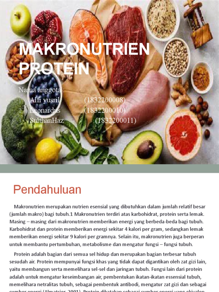 MAKRONUTRIEN | PDF