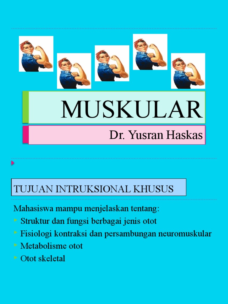 MUSKULAR | PDF