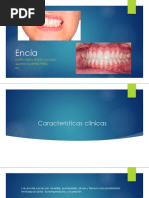 Código FDI: Guía para Odontólogos | PDF | Diente | Ramas de Odontología