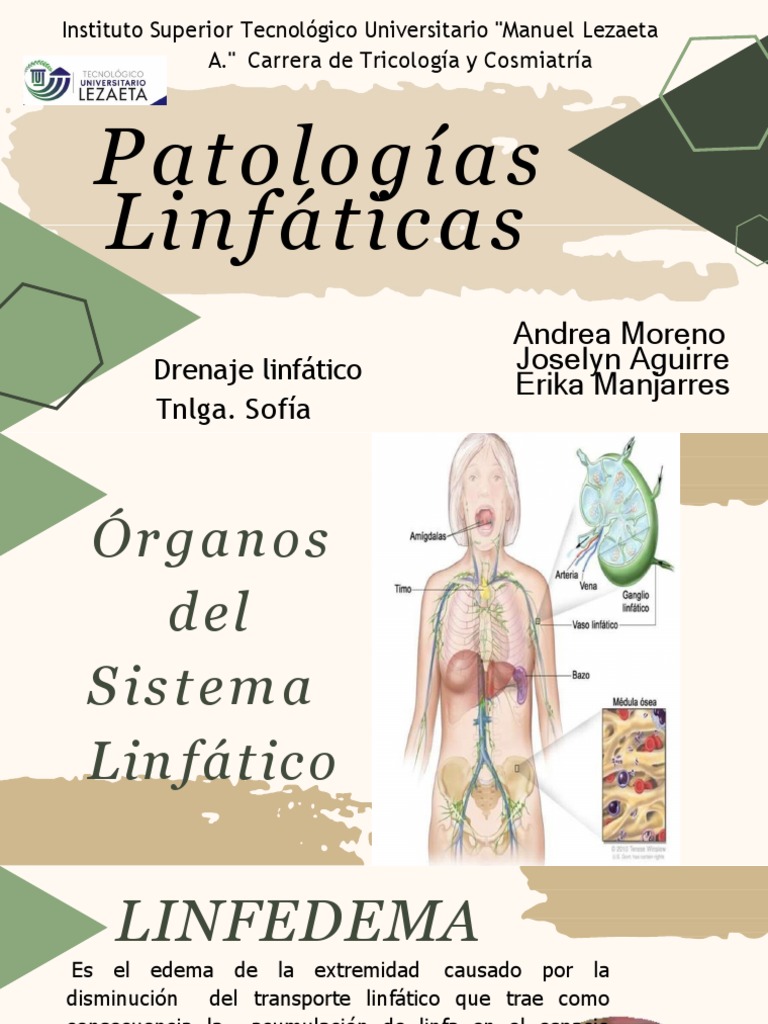 Patologias de Sistema Linfático | Descargar gratis PDF | Sistema ...