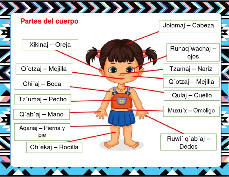 El Cuerpo Humano Pdf Pdf