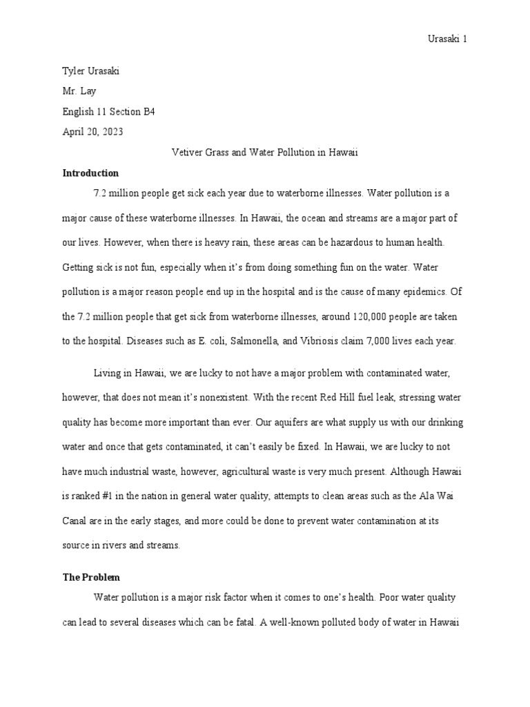 Solutionary Project Research Essay | PDF