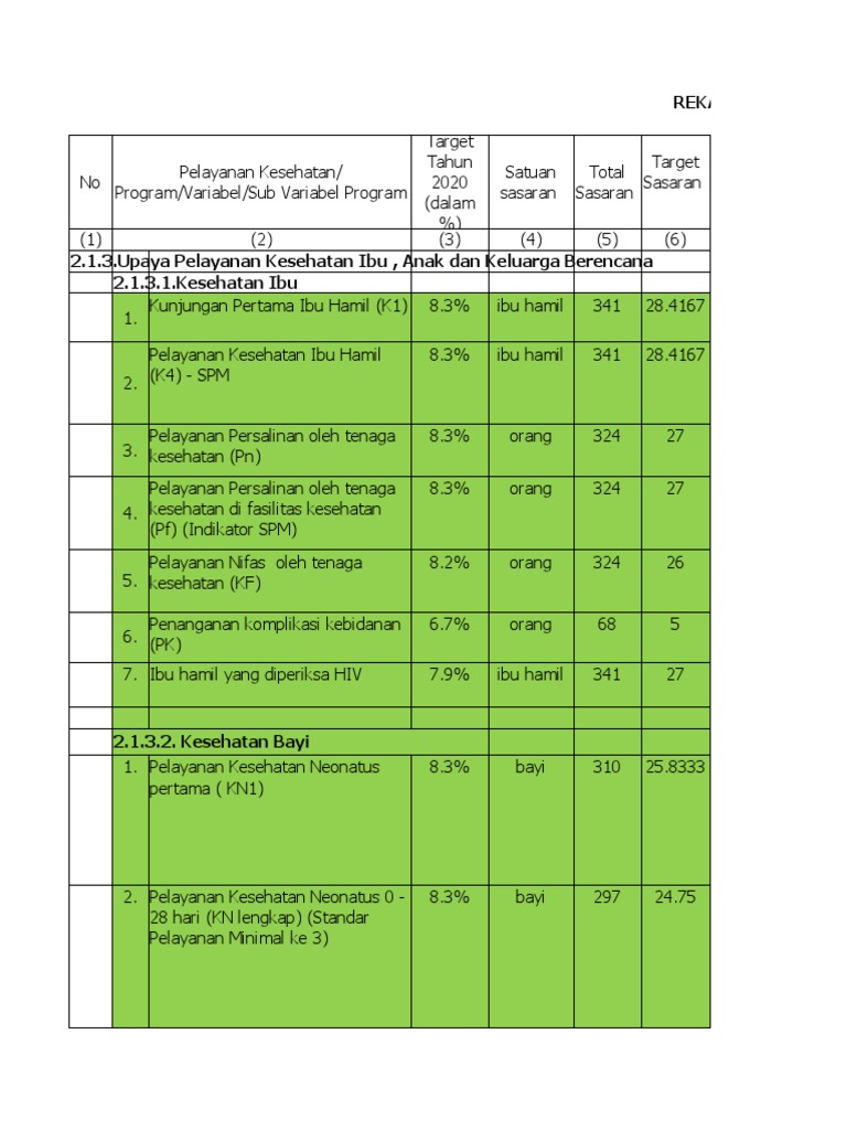Target Bulanan Dan Tahunan Program KIA 2023 | PDF