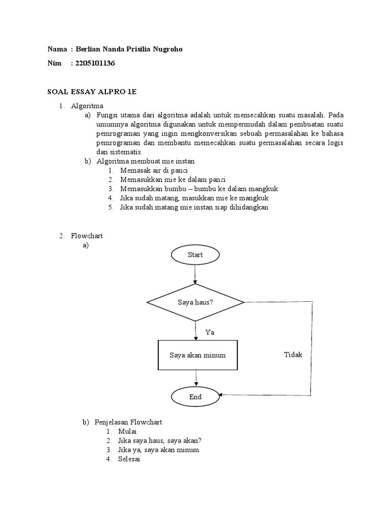 Berlian Nanda PN 2205101136 ESSAY UAS 1E | PDF