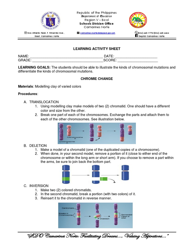 Las Mutation | PDF | Chromosome | Biotechnology