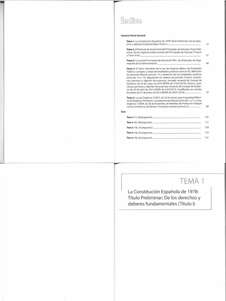 Tema01 Ordenanza | PDF