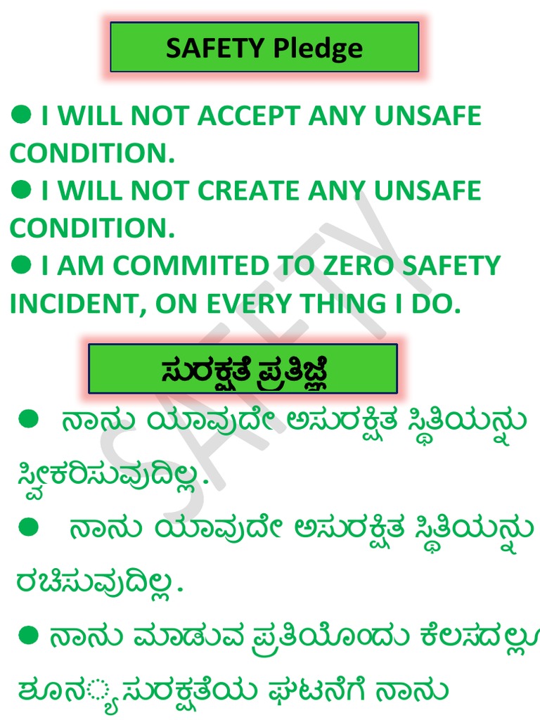 Safety Pledge | PDF