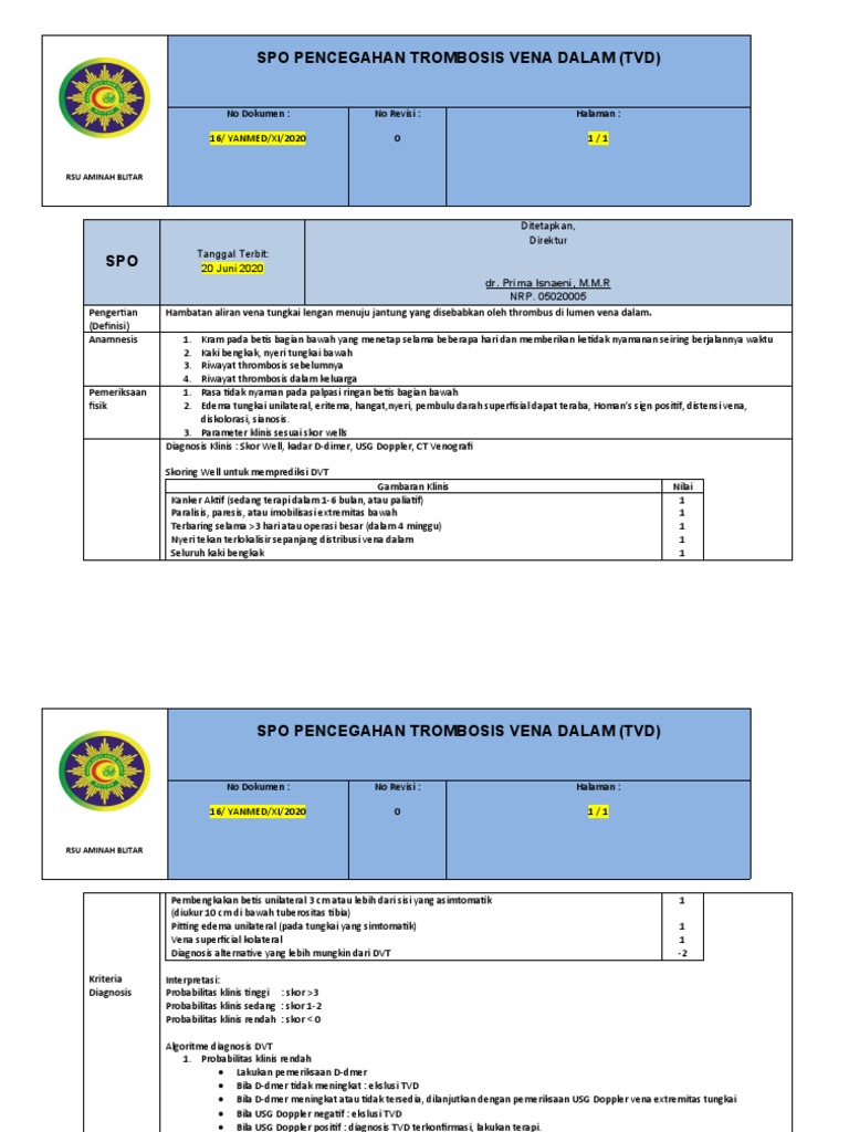 Spo Trombosis Vena Dalam | PDF