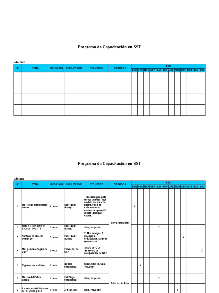 Formato de Programa Anual de Capacitación de SST | PDF | La seguridad | Lugar de trabajo
