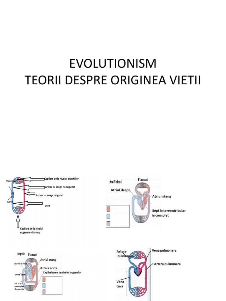 Evolutionism Introducere | PDF