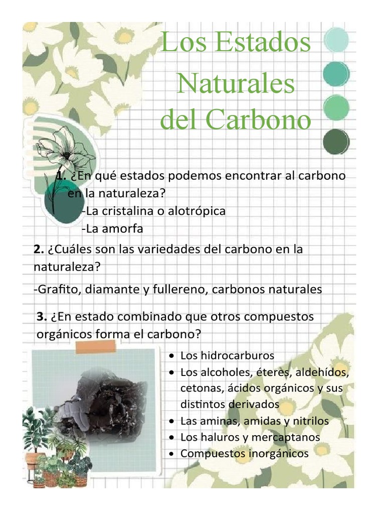 Los Estados Naturales Del Carbono | PDF