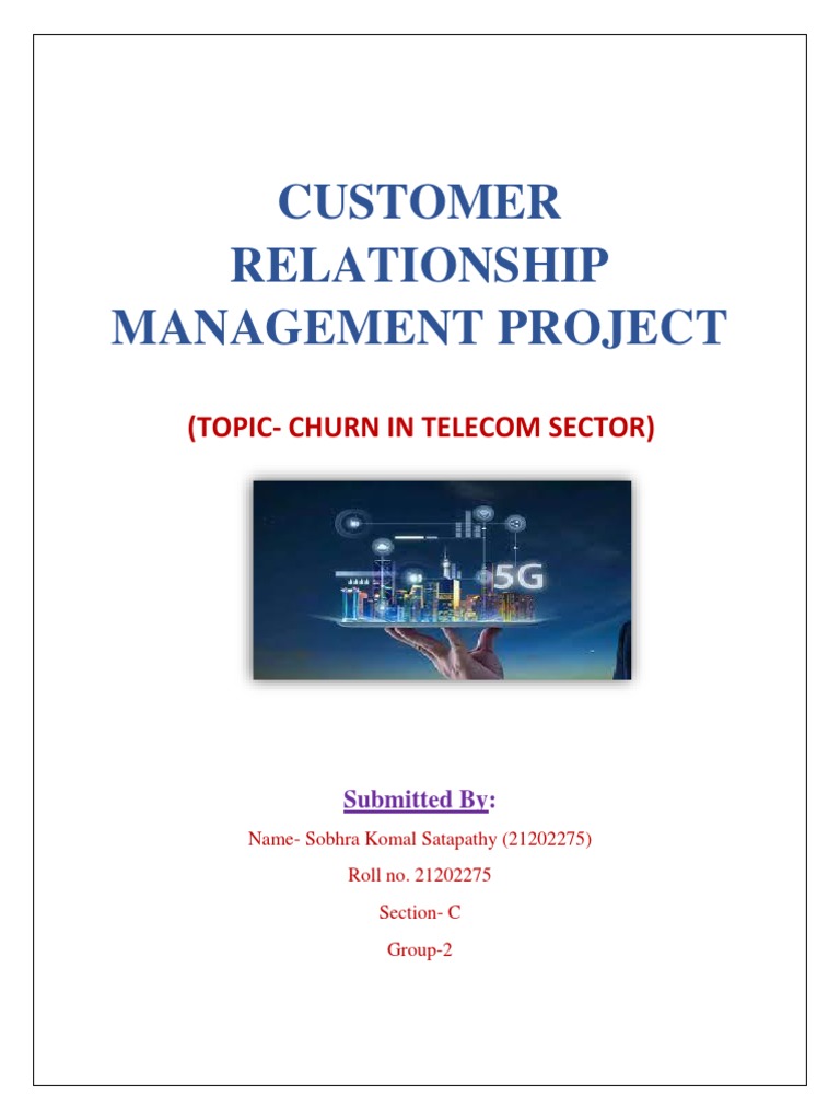 CRM Project Report PDF | PDF | Customer Relationship Management ...