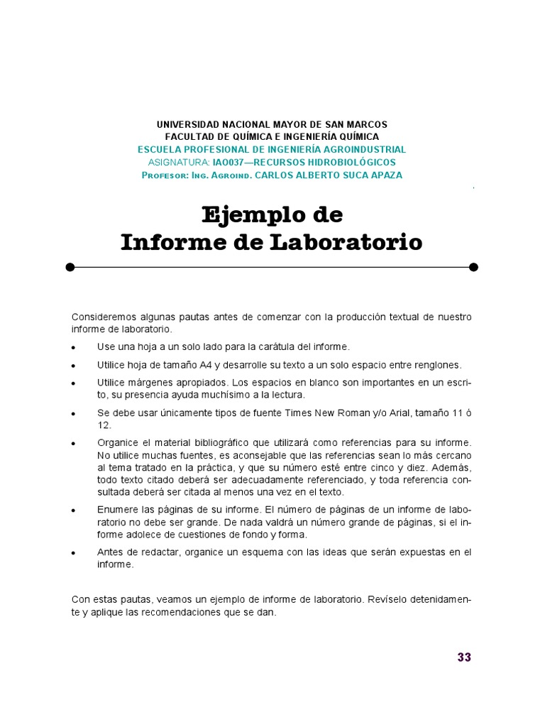 Ejemplo de Informe | PDF