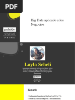 INFOGRAFIA | PDF | Big Data | Cibernética