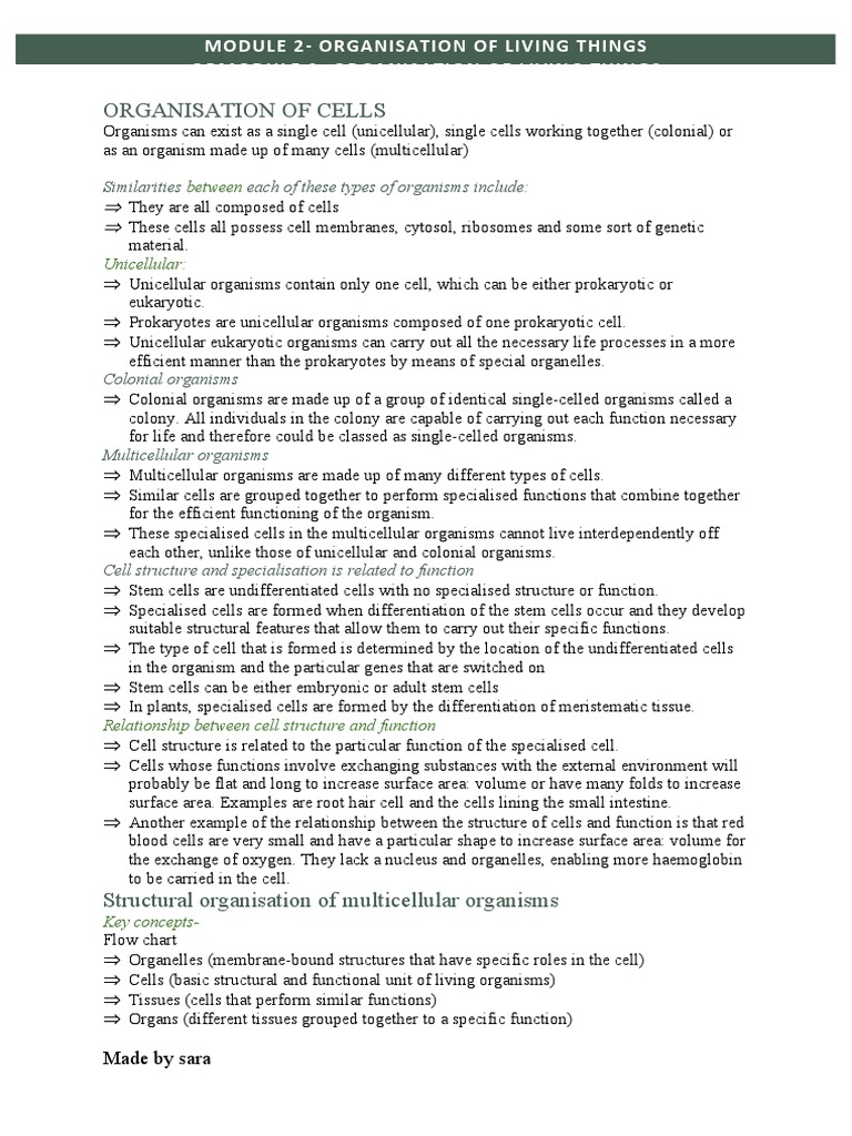 Biology Module 2 PRELIM 2019 | PDF | Digestion | Leaf