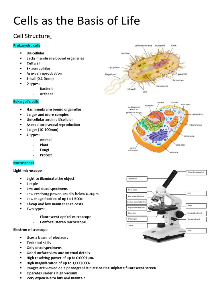 Cell Biology Essentials | PDF | Cell (Biology) | Cell Membrane