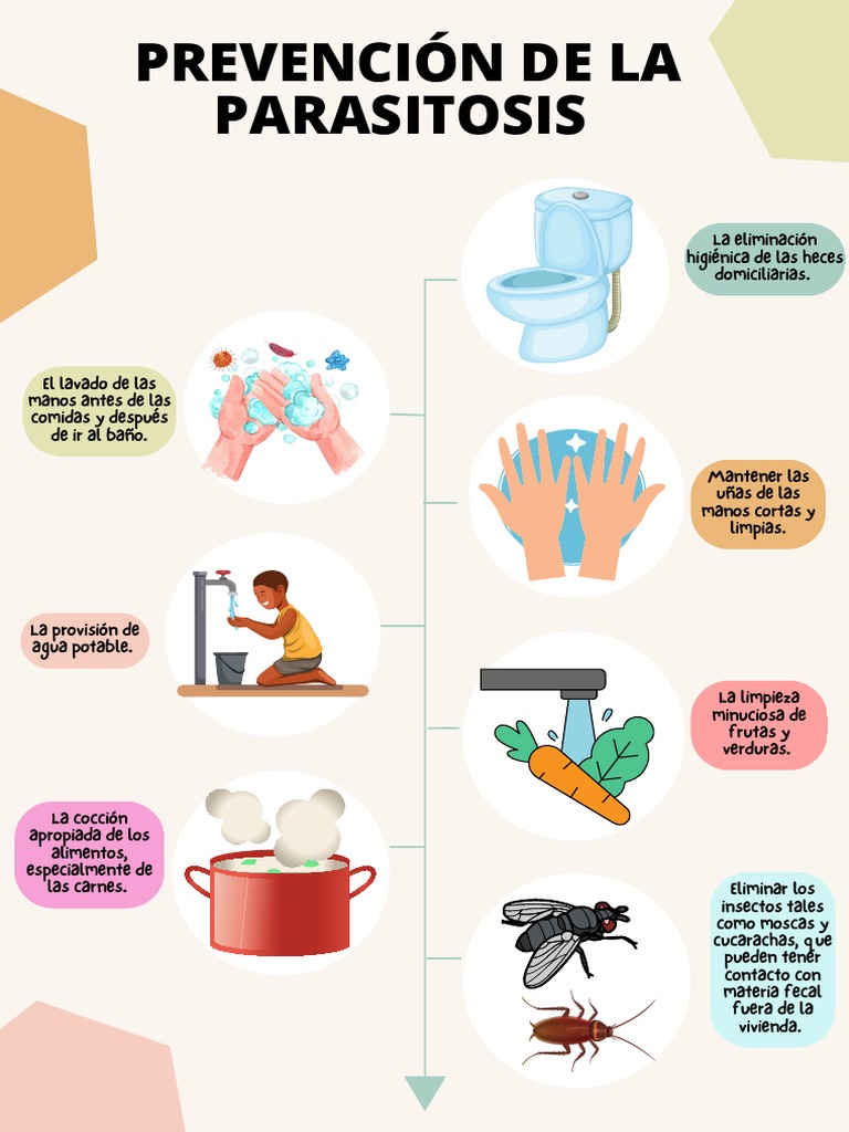 Prevención de Parásitos en el Hogar | PDF