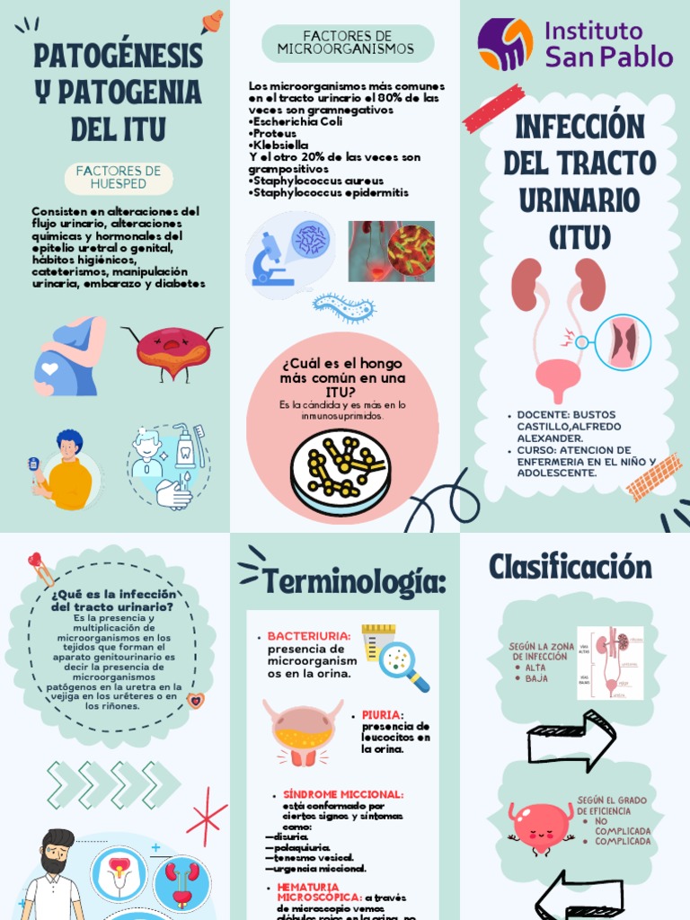 Infección Del Tracto Urinario (Itu) PDF | PDF | Sistema urinario | Vejiga urinaria