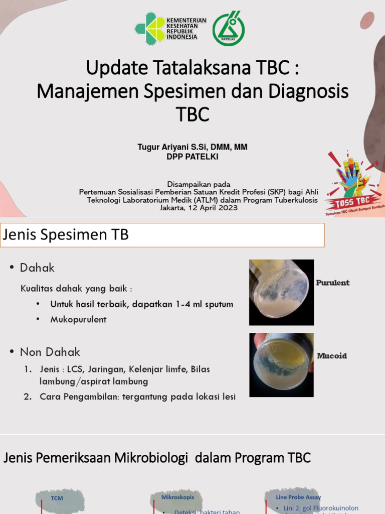 Update Tatalaksana TBC - Manajemen Spesimen Dan Diagnosis TBC | PDF