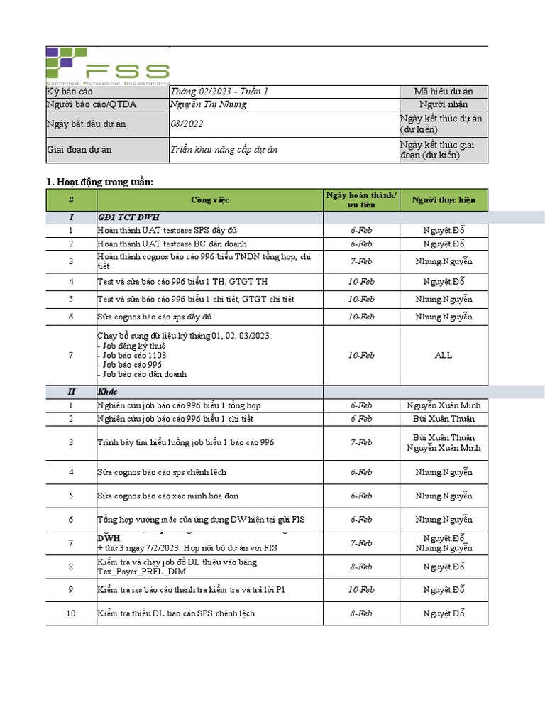 DWH-TCT- Kế hoạch chi tiết | PDF