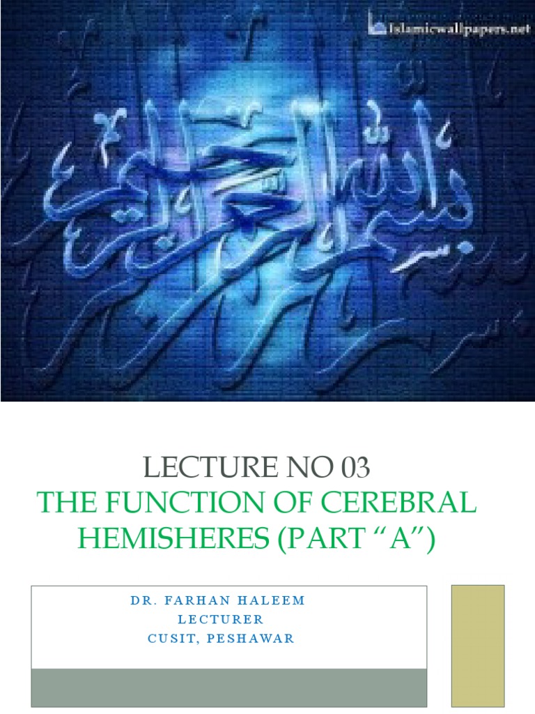 03 Lecture DPT 4 Neuroanatomy 'FUNCTION OF CEREBRAL HEMISPHERE' 'Part A' | PDF | Cerebral Cortex ...