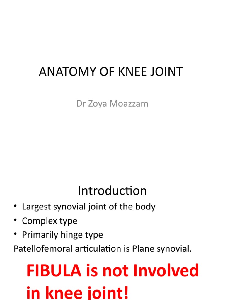 Anatomy of Knee Joint | PDF