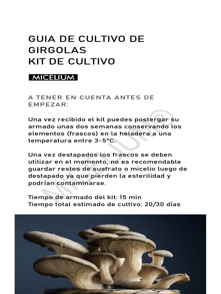 GUIA DE CULTIVO DE GIRGOLAS - Micelium | PDF